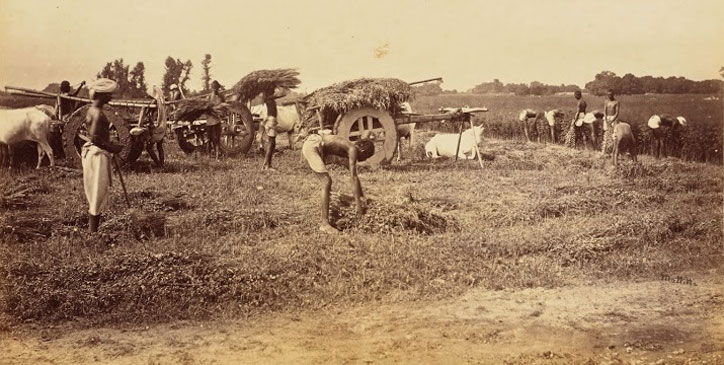 Global Significance of Champaran Satyagraha 1917 - FacenFacts