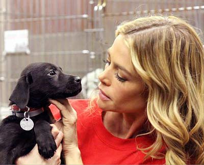 Denise Richards adopts black Labrador mix puppy Tara during Sandy ...